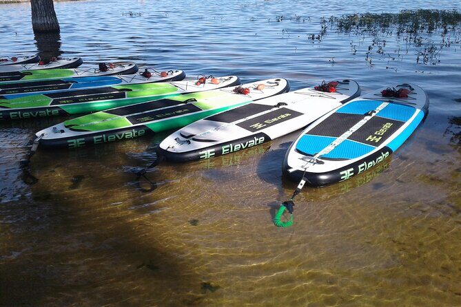 Stand Up Paddleboard Rentals - The Experience in Detail