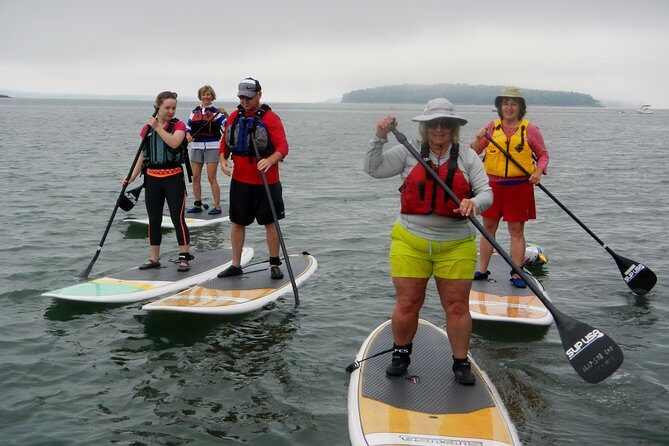 Stand Up Paddleboard Tour with Complimentary Oyster Tasting - What You Can Expect from This SUP Tour