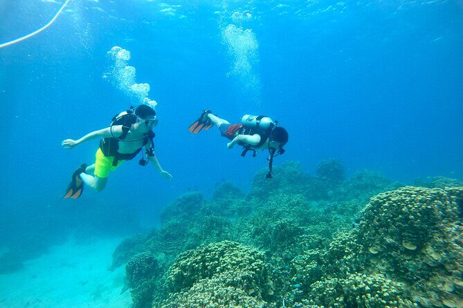 StandUp PaddleBoard Lesson and Experience Scuba Diving Package! - Exploring the Tour Itinerary: What You’ll Experience