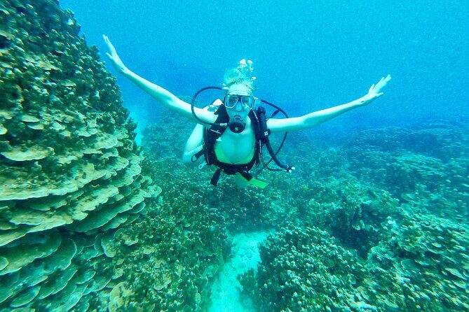 StandUp PaddleBoard Lesson and Experience Scuba Diving Package! - Our Perspective: What You Should Know