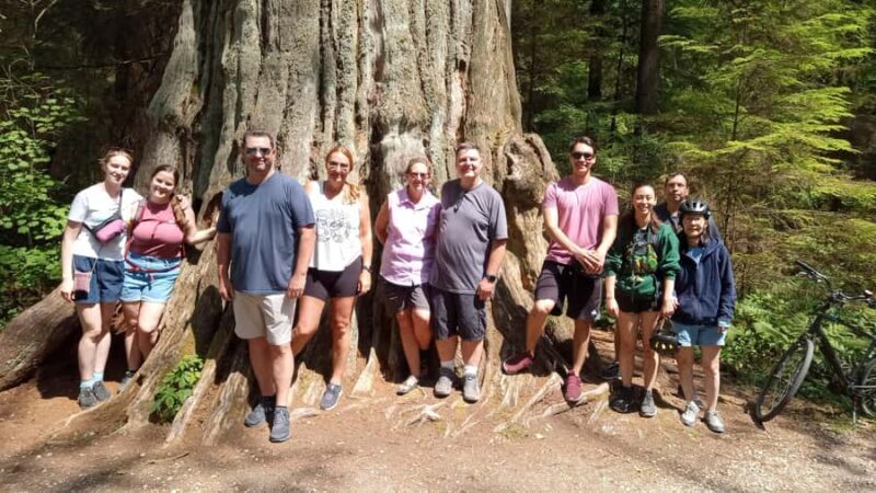 Stanley Park Highlights 2.5 Hour Walking Tour - An Inside Look at the Tour Experience