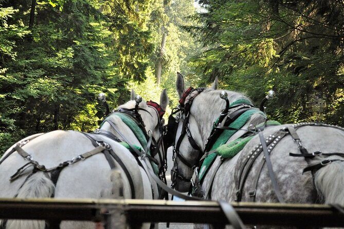Stanley Park Horse-Drawn Tour - FAQ