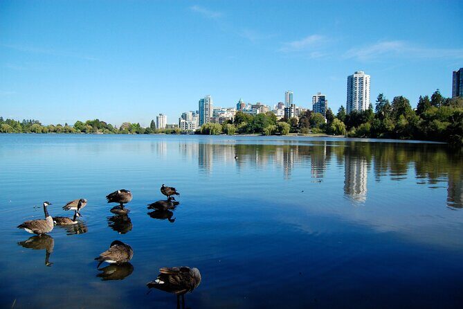 Stanley Park Self Guided Walking Tour - Discovering Vancouver’s Crown Jewel: The Experience