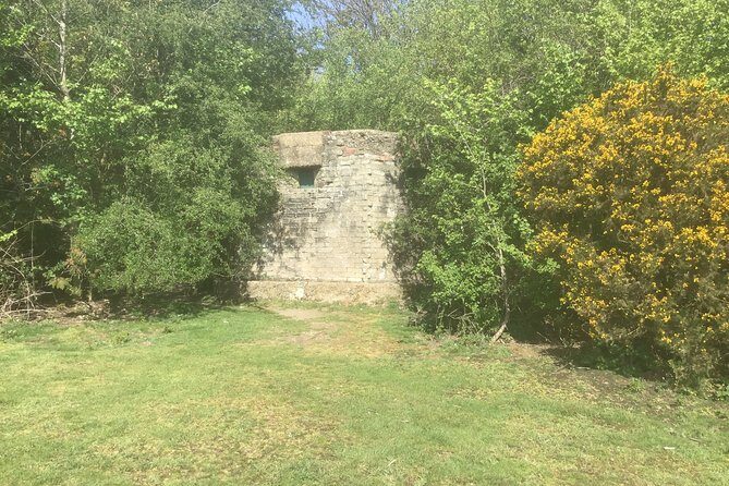 Stanmore Circular Private Walking Tour - What You’ll Love About This Walk