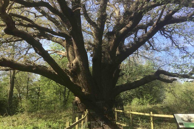 Stanmore Circular Private Walking Tour - Practical Details and What They Mean for You