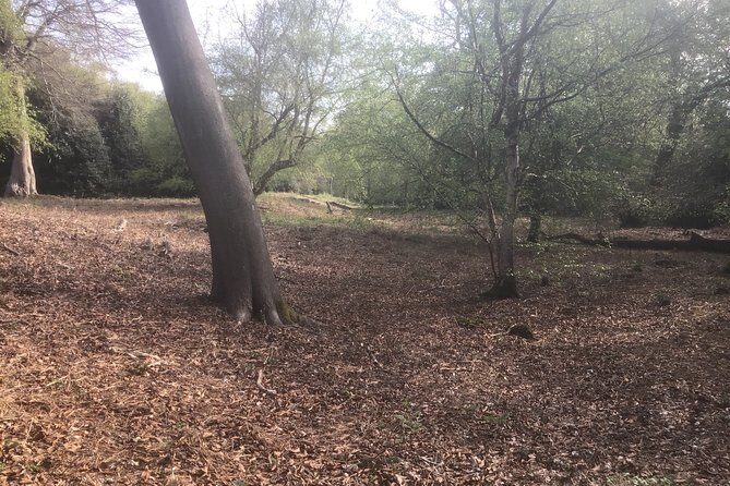 Stanmore Circular Private Walking Tour - Final Thoughts