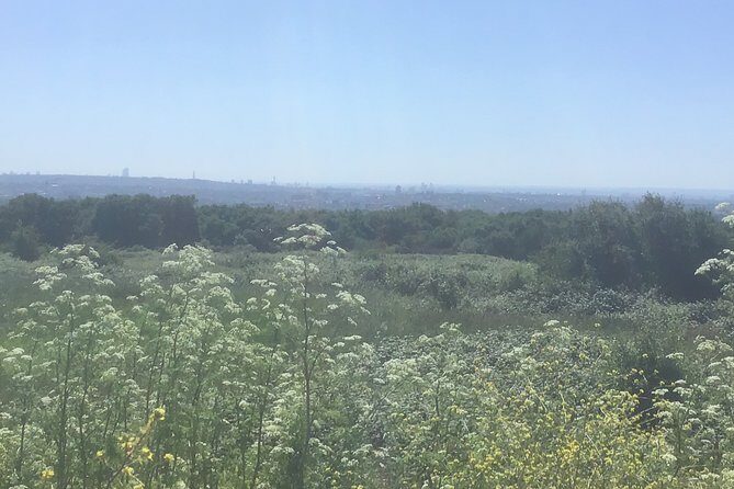 Stanmore Circular Private Walking Tour - FAQ