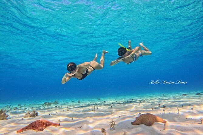Star and Turtle Sanctuary Snorkeling Tour in Cozumel - Authentic Experiences and Real-Life Insights