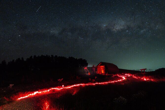 Star Safari Stargazing Experience, Martinborough - What Makes This Tour Stand Out?