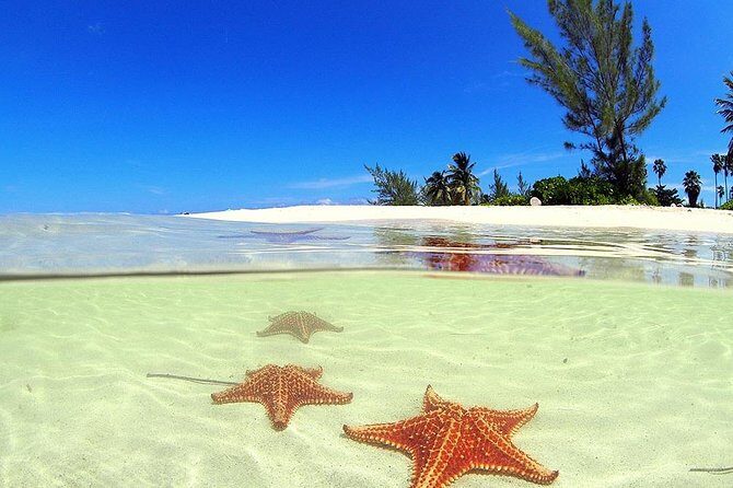 Starfish and Stingray City Fun Tour with Reef Snorkeling- 3 stops - The Itinerary: What to Expect from Each Stop