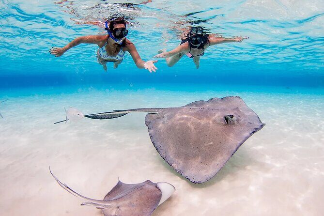 Starfish and Stingray City Fun Tour with Reef Snorkeling- 3 stops - Authentic Experiences and Real Visitor Insights