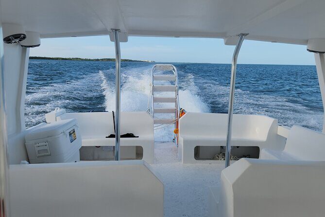 Starfish Encounter & Mangrove Exploration in Grand Cayman - Final Thoughts