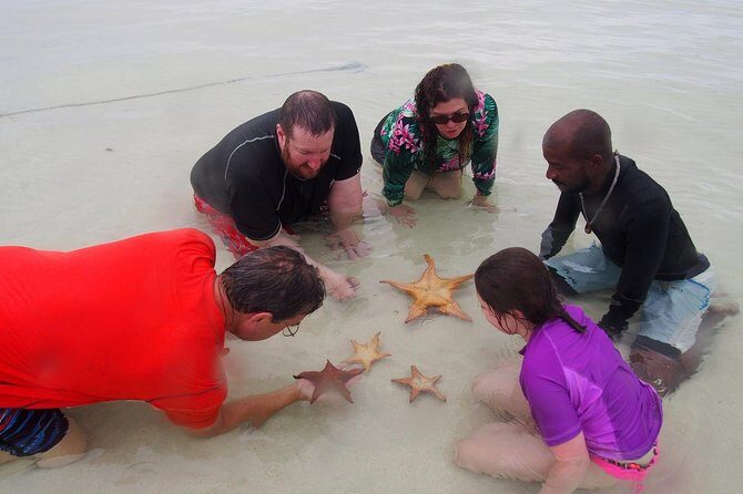 Starfish Point, Stingray City & Coral Garden (3-STOP Adventure) - FAQs