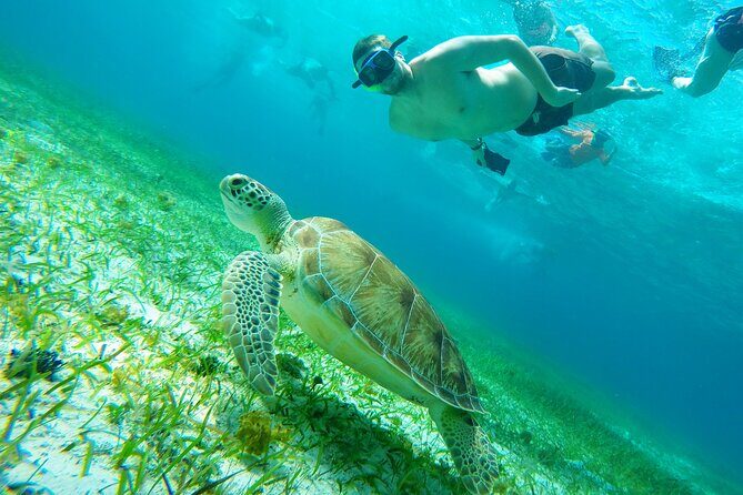 Starfish, Stingrays and the Turtle Sanctuary Snorkeling Tour - First Stop: El Cielo Sandbar