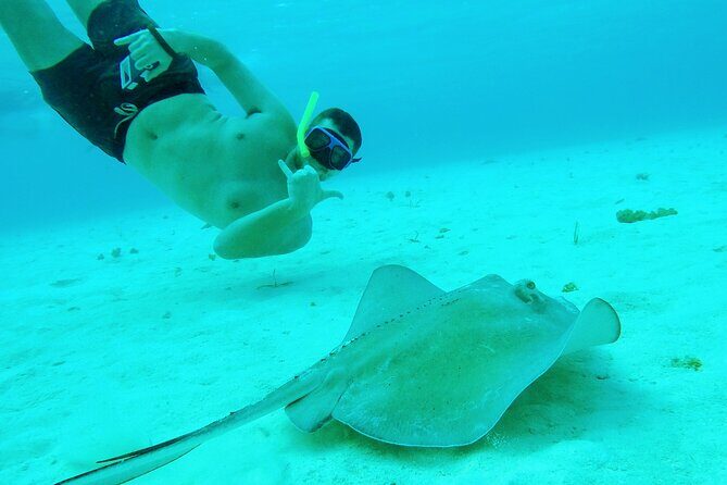 Starfish, Stingrays and the Turtle Sanctuary Snorkeling Tour - Group Size and Atmosphere