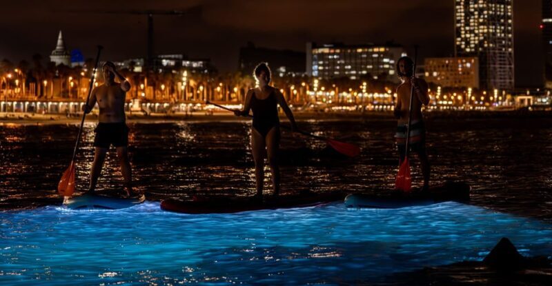 Starlight Paddlesurf during the night in Barcelona - Final Thoughts: Who Should Consider This?