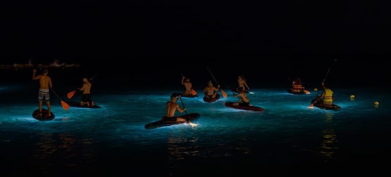 Starlight Paddlesurf during the night in Barcelona - FAQ
