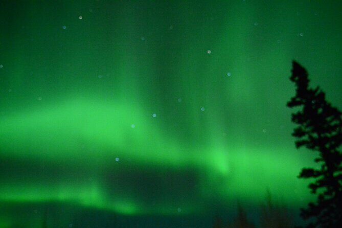 Starlight Snowshoe Adventure in Alaska - The Itinerary in Detail