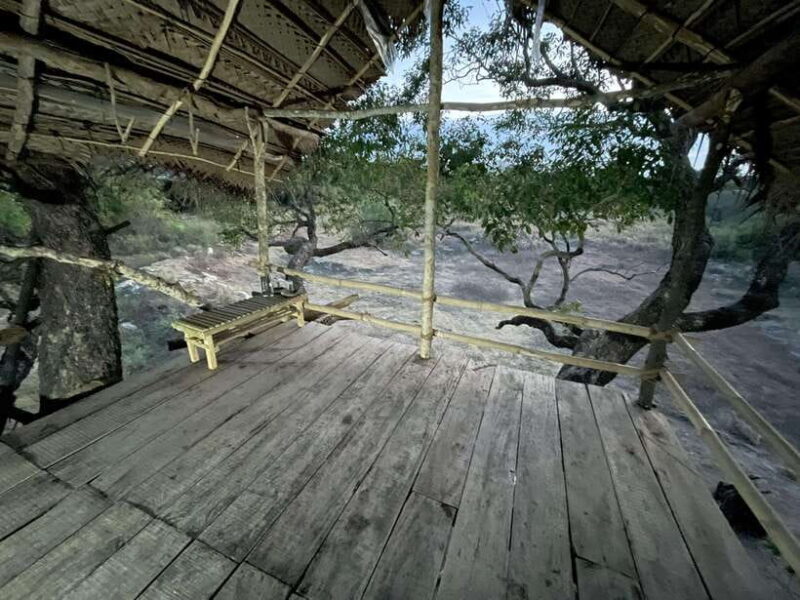 Starlit Escape: Stargazing from a tree hut in Sigiriya - An In-Depth Look at the Sigiriya Tree Hut Experience
