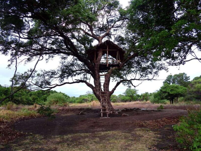 Starlit Escape: Stargazing from a tree hut in Sigiriya - Practical Tips for Visitors