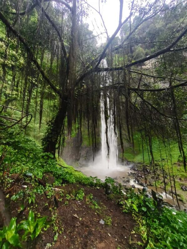 Start 10am Bandung Group Tour Volcano, Waterfalls, Hotspring - Relaxation at Hot Springs