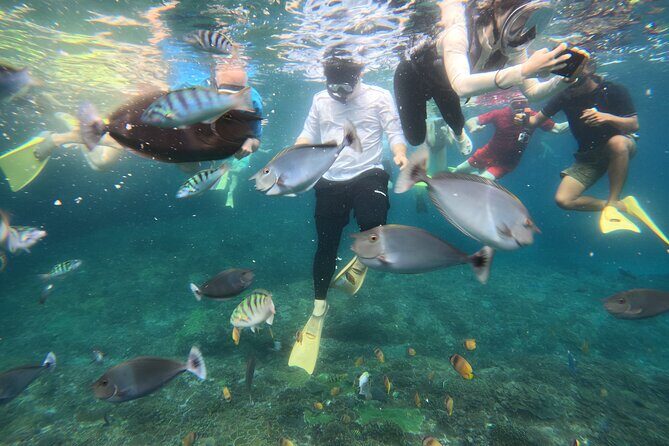 Start at Nusa Penida, Snorkeling Manta Rays + Land Tour shared - Who Would Love This Tour?