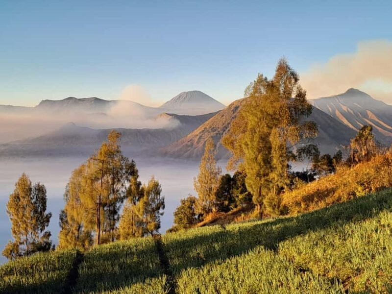 Start From Surabaya: Mount Bromo Sunrise Shared Guided Tour - The Mount Bromo Experience