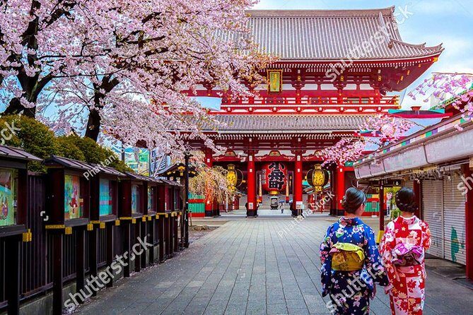 Starter tour in Tokyo _Visiting must-see spots and practical guidance - Who Is This Tour Best For?