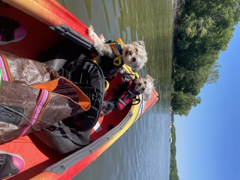 Starved Rock State Park: Guided Kayaking Tour - An Overview of the Experience