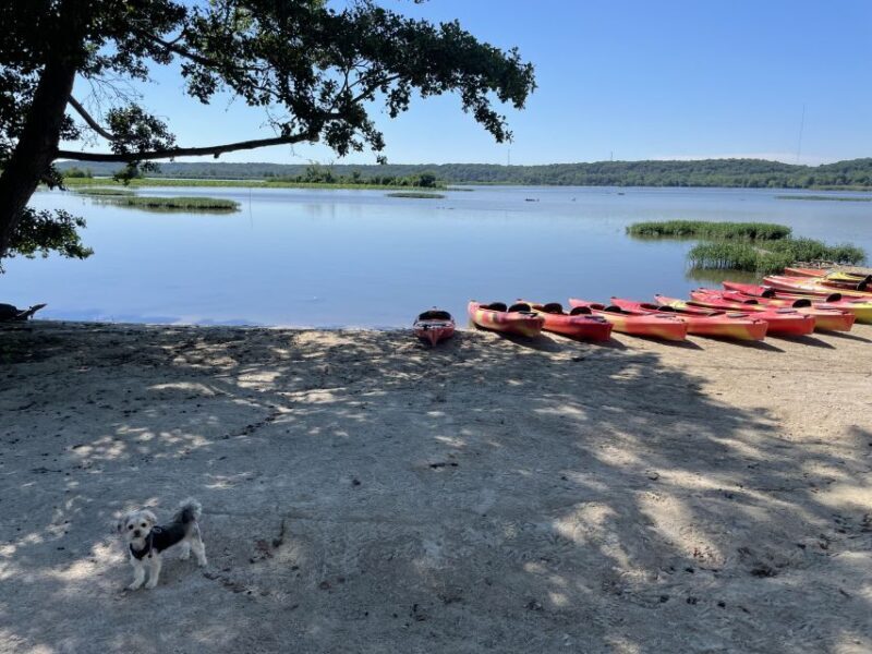 Starved Rock State Park: Guided Kayaking Tour - The Value and What You’ll Take Away