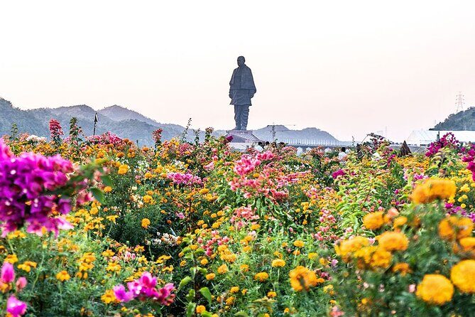 Statue of Unity tour from Ahmedabad in private car with lunch and guide - A Detailed Look at What to Expect