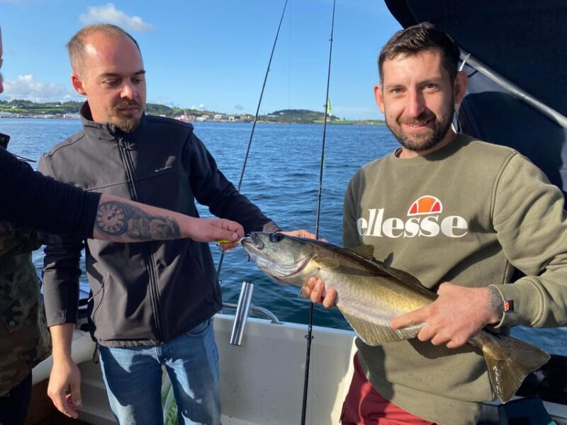 Stavanger: 5-Hour Fishing Trip with Equipment and Guide - Who Should Consider This Tour?