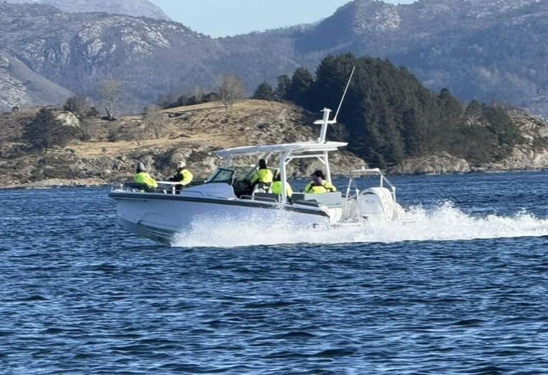 Stavanger: Guided Lysefjord Cruise to Pulpit Rock - Practical Details and What to Bring