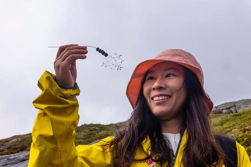 Stavanger: Kjerag Summer Hike with Packed Lunch - The Value of Guided Expert Tours in Norway