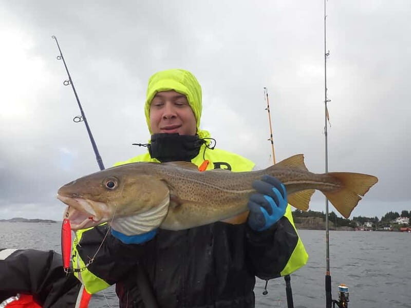Stavanger: Lysefjord Cruise, Fishing, and Dinner Tour - Authentic Experiences and Traveler Feedback