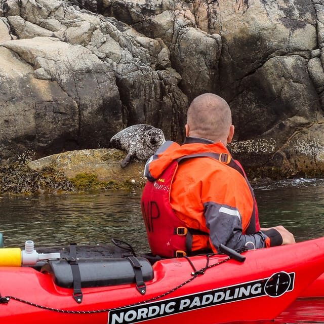 Stavanger: Lysefjord Kayak Safari (Waterfalls & Pulpit Rock) - Is This Tour Worth the Price?