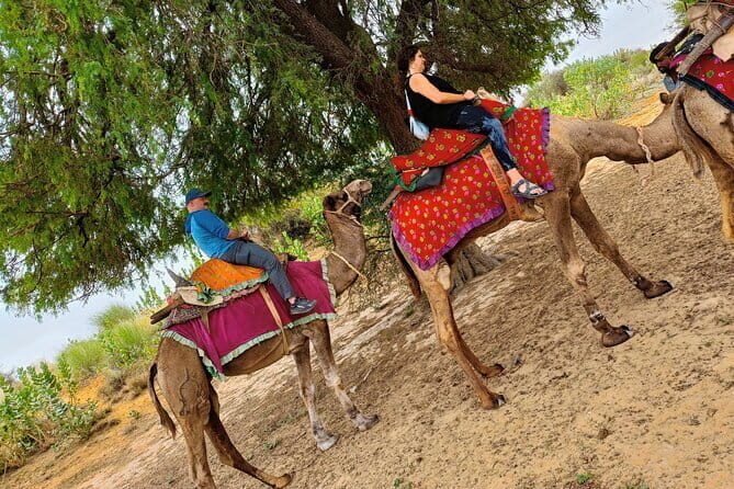 Stay Under The Billions Stars Overnight Camel Safari Tour - Evening and Overnight Experience