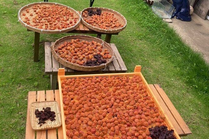 Staying in a Traditional Japanese house in Chiba - The Sum Up: Who Will Appreciate This Tour?