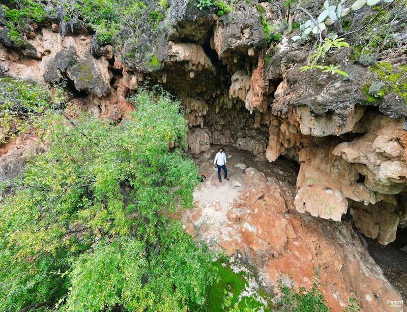 Steer route: Tour of the ruins and tasting in Mazatan - An In-Depth Look at the Mazatan Experience