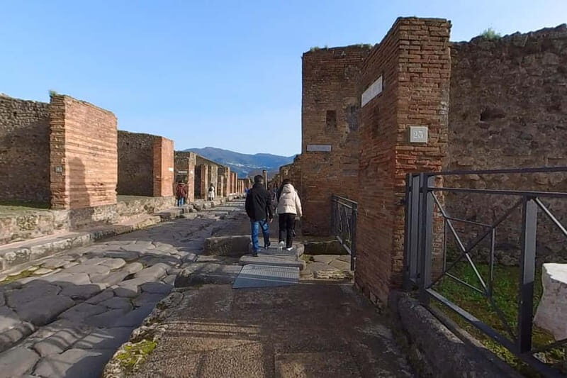 Step Back in Time: Pompeii Guided Tour with Naples Pick up - Exploring Pompeii: What You Can Expect