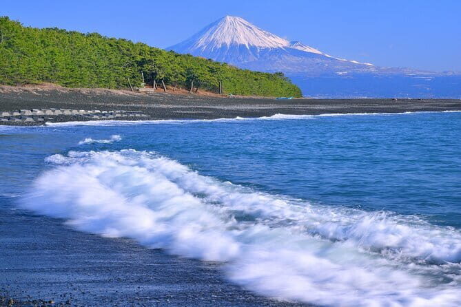 Step-Free easy going tour from Shimizu Port / Small bus - A Detailed Look at the Tour Adventure