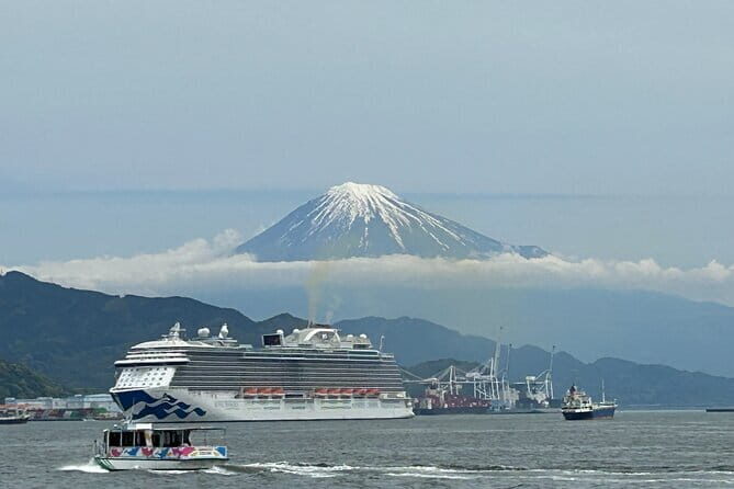 Step-Free Easy going tour from Shimizu Port / Van Taxi - An Honest Look at the Shimizu Port Step-Free Tour