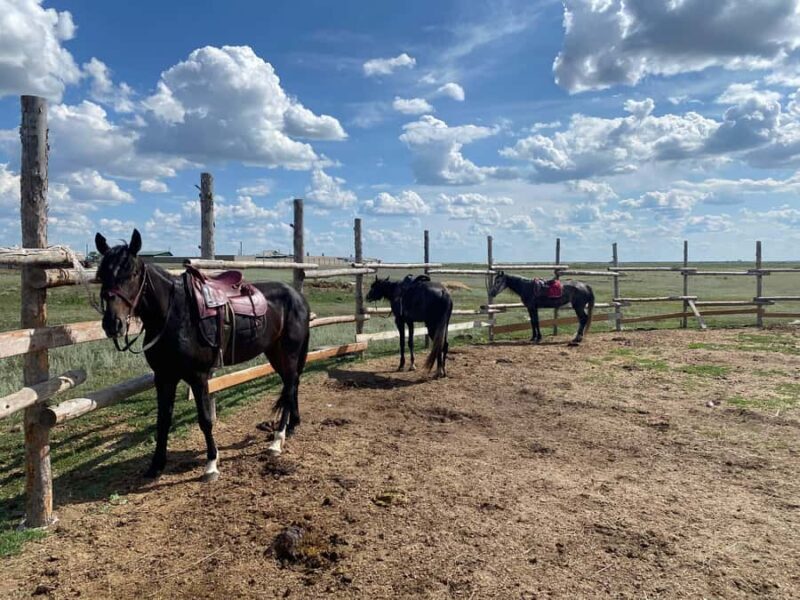 Steppe, Saddle & Sauna: Horseback Tour to Historic Mausoleum - Who Will Love This Tour?