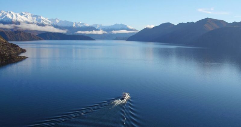 Stevensons Island 2-Hour Cruise and Nature Walk - The Sum Up