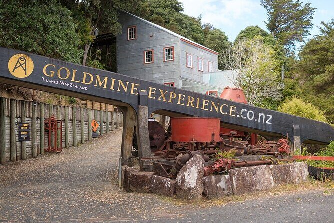 [Stevong Travel] West Coromandel Day Tour - A Practical Introduction to the West Coromandel Day Tour