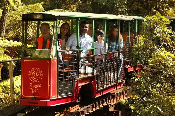 [Stevong Travel] West Coromandel Day Tour - What Travelers Are Saying