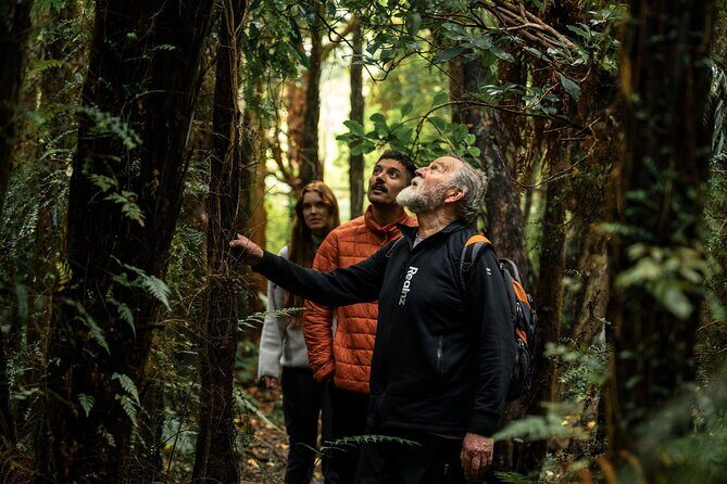Stewart Island Guided Wilderness Walk - The Itinerary: A Closer Look at Your Day