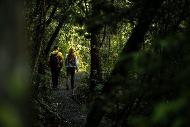 Stewart Island Guided Wilderness Walk - The Sum Up: Who Will Enjoy This Tour?