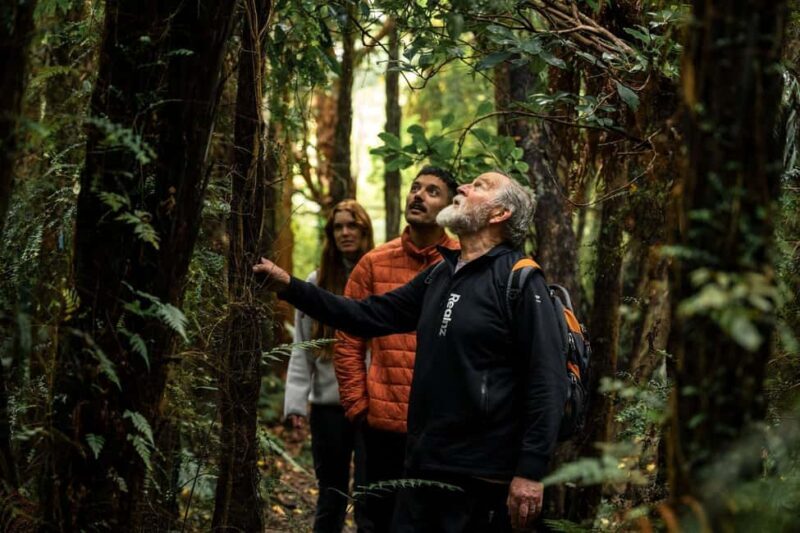 Stewart Island: Guided Wilderness Walk - An In-Depth Look at the Stewart Island Wilderness Walk