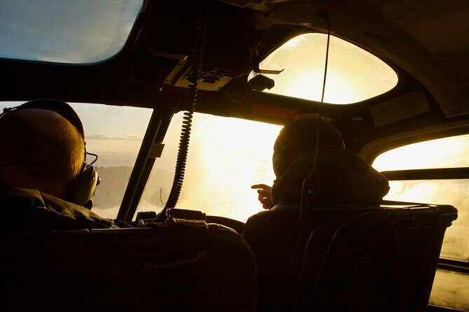 Stewart Island Transfer Flight - One way - Exploring Stewart Island by Air: A Practical and Scenic Transfer Experience
